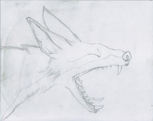 Shouting Fox for “Vocal” at Illustration Friday | The Slumbering Herd ...
