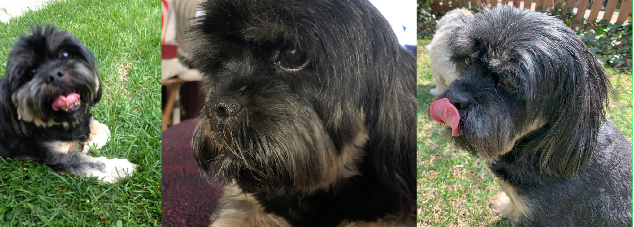 The Slumbering Herd Art Blog | Artist: Cindy Dauer