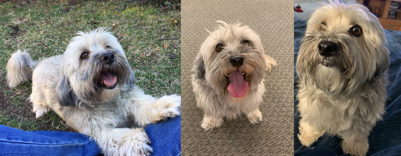 The Slumbering Herd Art Blog | Artist: Cindy Dauer